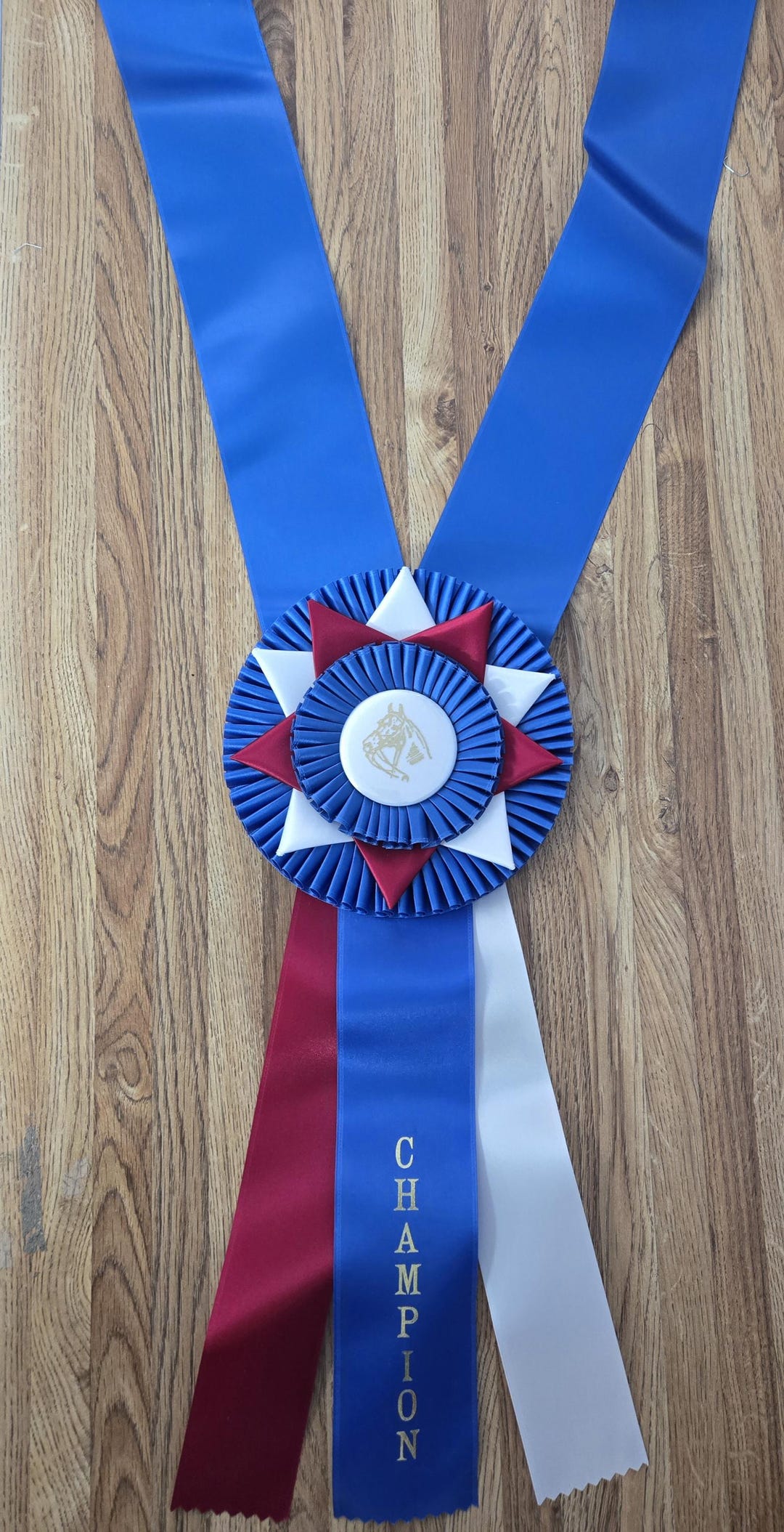 Stardom Champion Neck Sash - Etsy