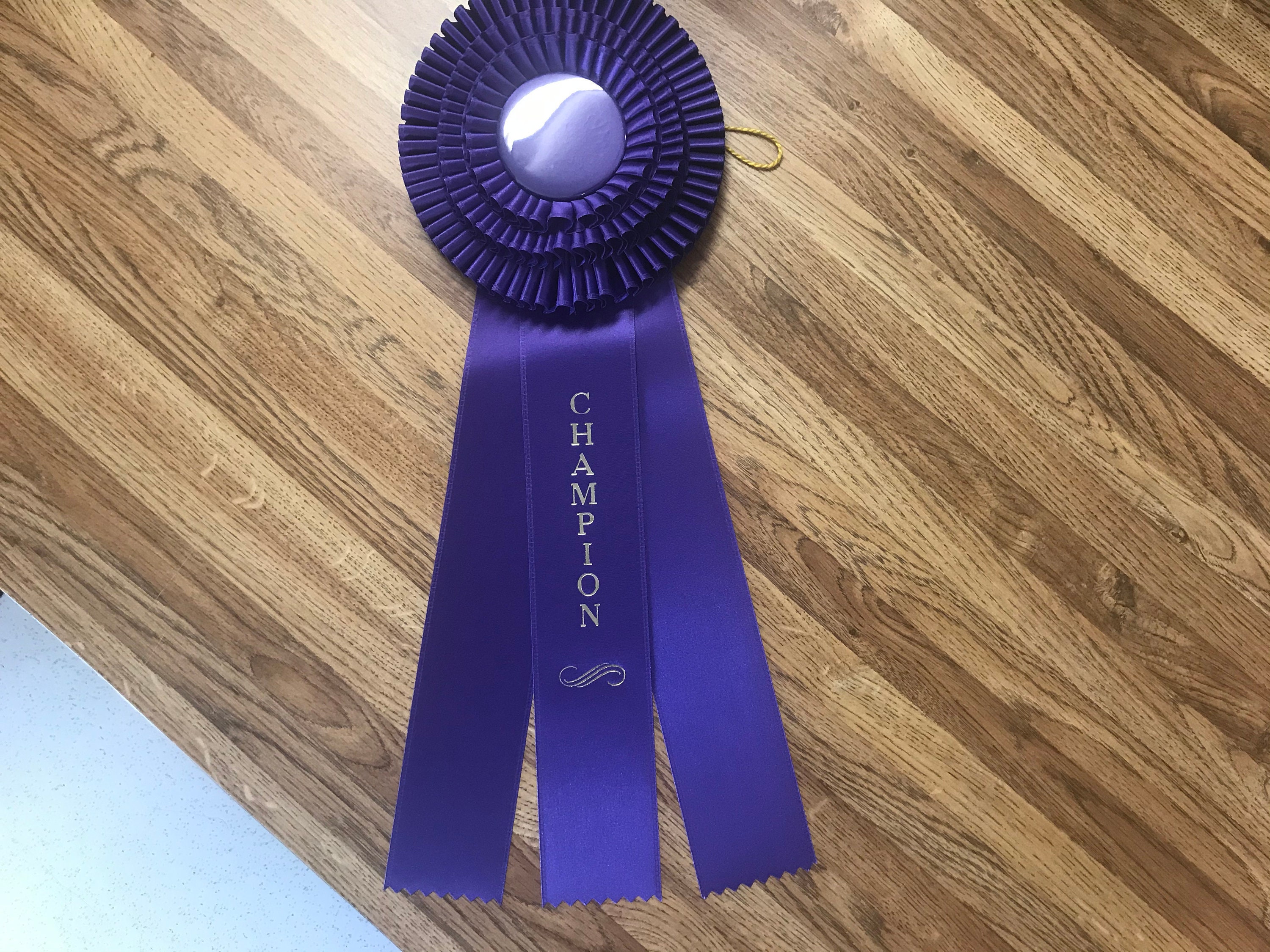 Champion Award Ribbon - Etsy