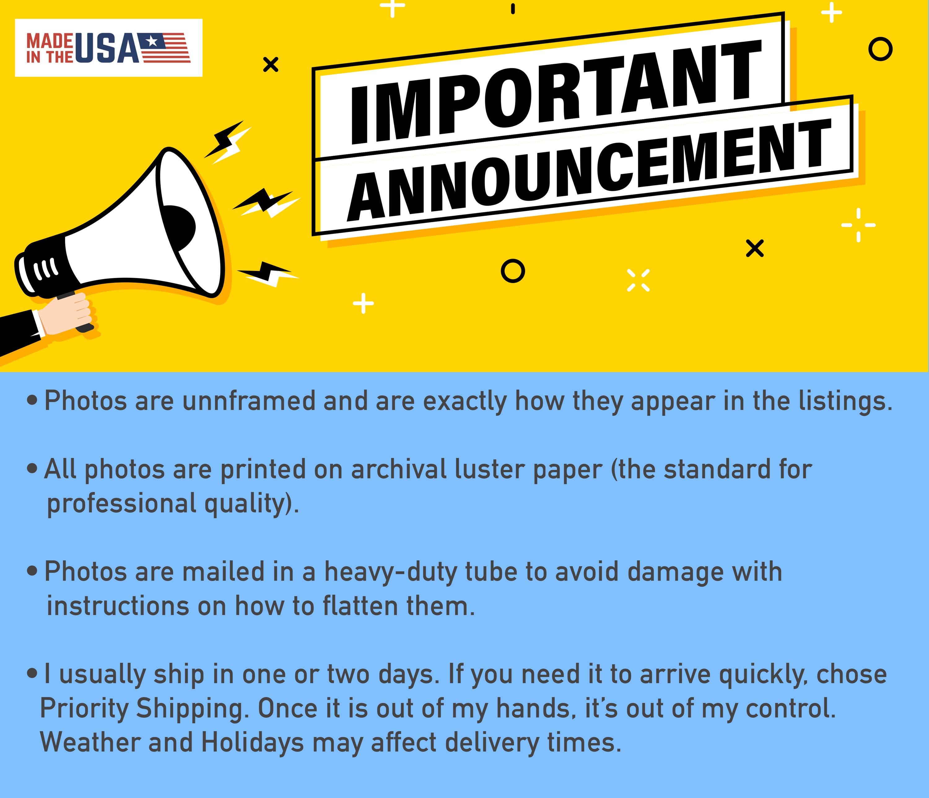 1941 Southside Chicago Photo: Regal & Savoy Theatres, African American Wall Art - Etsy