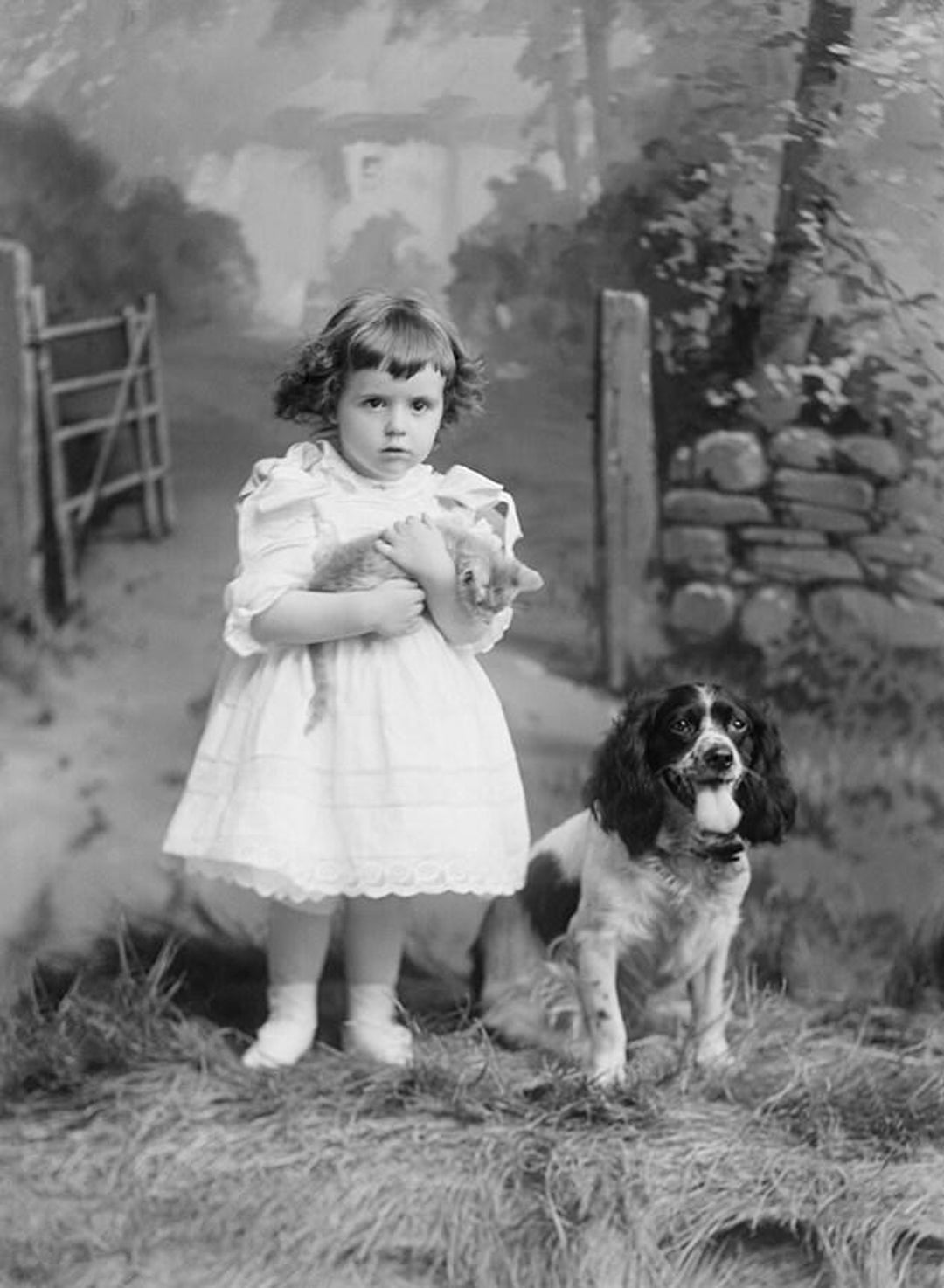 Vintage Girl With Springer Spaniel and Cat Photo Print - Etsy