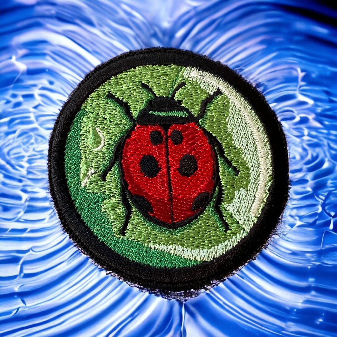 The Ladybug Patch/ Ladybug Patch in Circle - Etsy