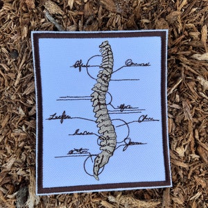 Anatomical Sketch Style Anatomy Spine Iron on Patch - Etsy