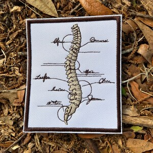 Anatomical Sketch Style Anatomy Spine Iron on Patch - Etsy