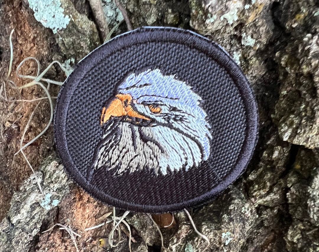 Bald Eagle Iron on Patch - Etsy
