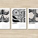 Black & White Botanical 2026 Desk Calendar | Modern Minimalist Art With ...
