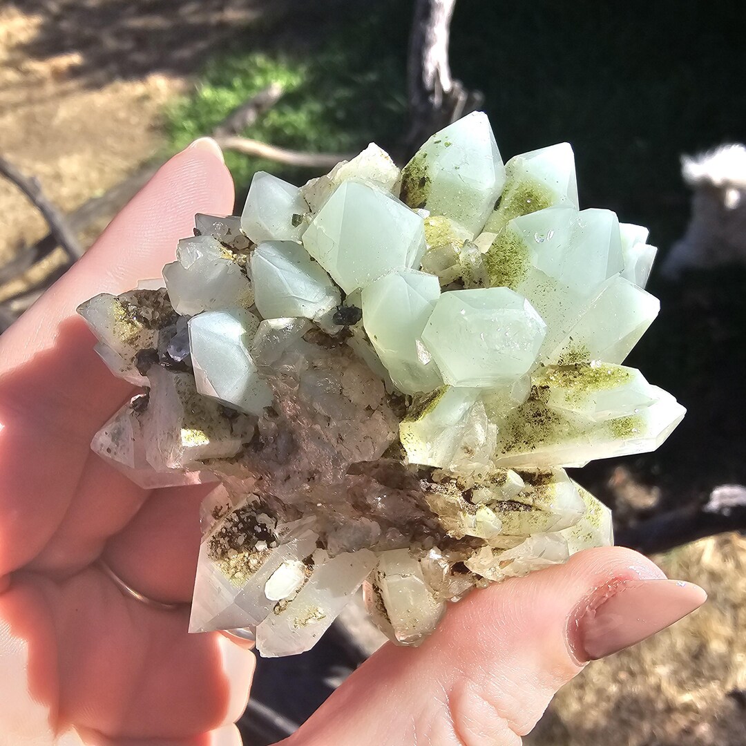 Epidote & Minty Blue Phantom Quartz, Radial, Flowering Formation ...