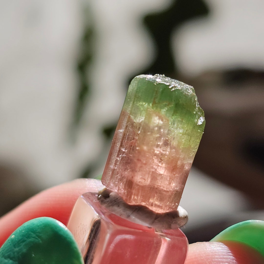 5.5ct Morro Redondo Tourmaline, Bicolor Old Stock Brazilian Elbaite ...