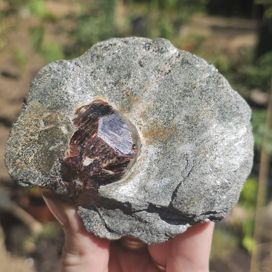 Huge Almandine Garnet Crystal in and Through Sparkly Grey Mica Schist ...