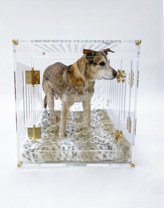 Petite Pretty Kennel Luxury Acrylic Pet Crates Handcrafted