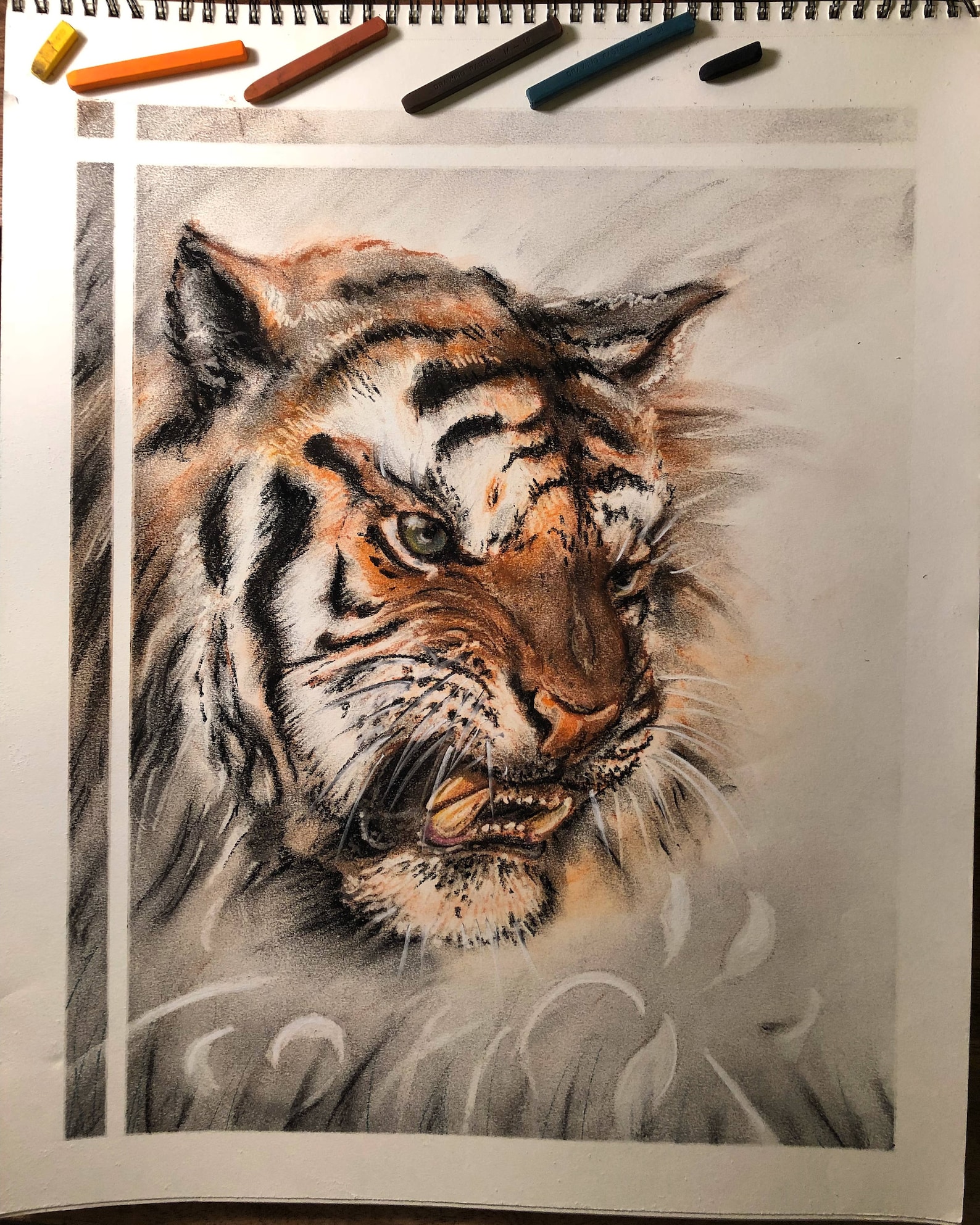 Tiger Charcoal Drawing/sketch - Etsy