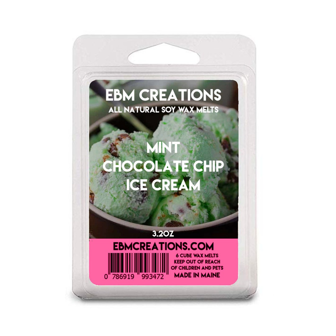 Mint Chocolate Chip Ice Cream - 3.2 Oz Clamshell - Etsy