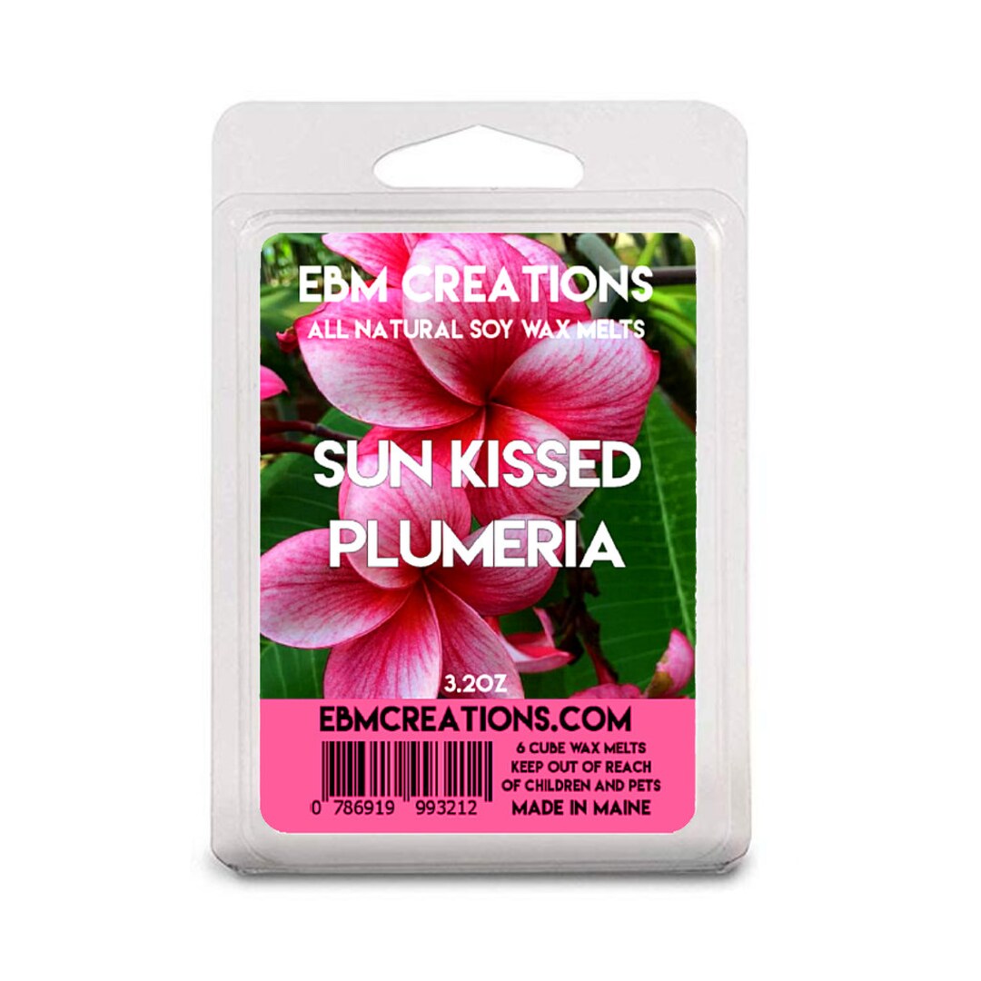 EBM Creations Sun Kissed Plumeria Scented All Natural Soy Wax Melts 6 ...