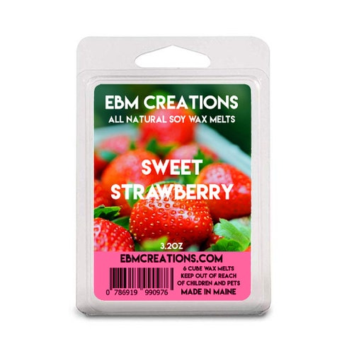 EBM Creations Georgia Peach Scented All Natural Soy Wax - Etsy