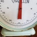 Vintage Chatillon Metal Family Scale Mint Green 50LBS Rustic Farmhouse ...