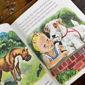 Vintage the Little Golden Book of Dogs 1952 "a" Printing Children's ...