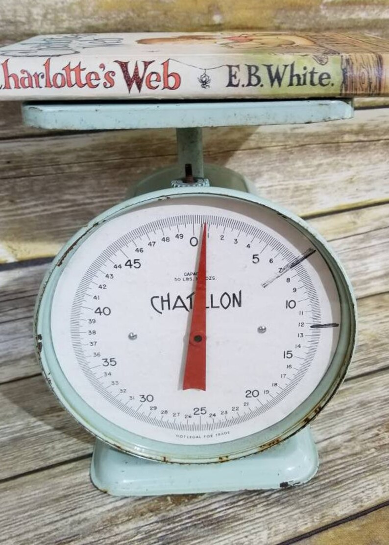 Vintage Chatillon Metal Family Scale Mint Green 50LBS - Etsy
