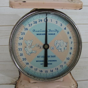 Vintage Pink Scale Nursery Decoration Scale American Family Pink Blue ...