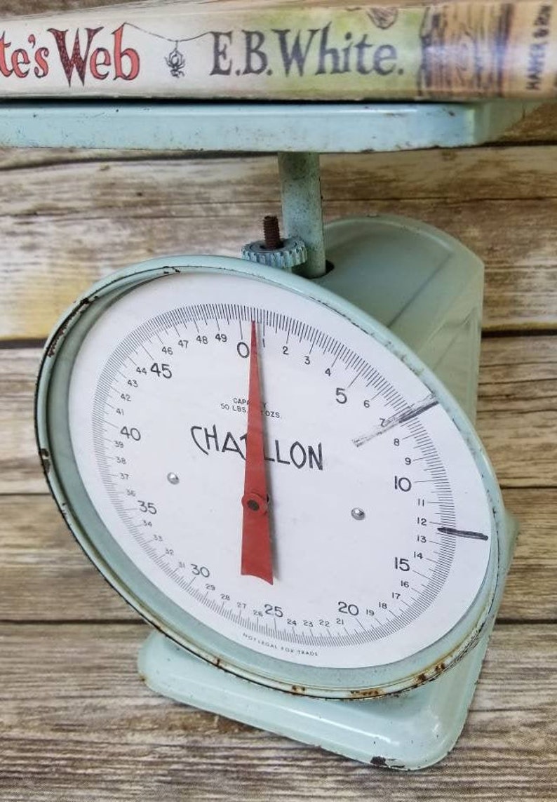Vintage Chatillon Metal Family Scale Mint Green 50LBS - Etsy
