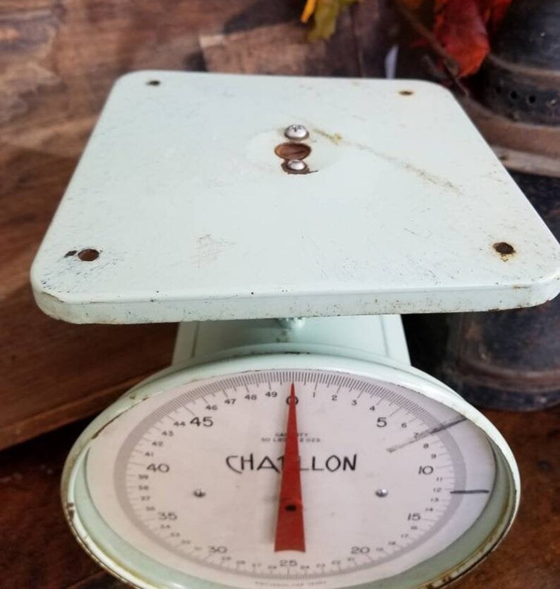 Vintage Chatillon Metal Family Scale Mint Green 50LBS | Etsy