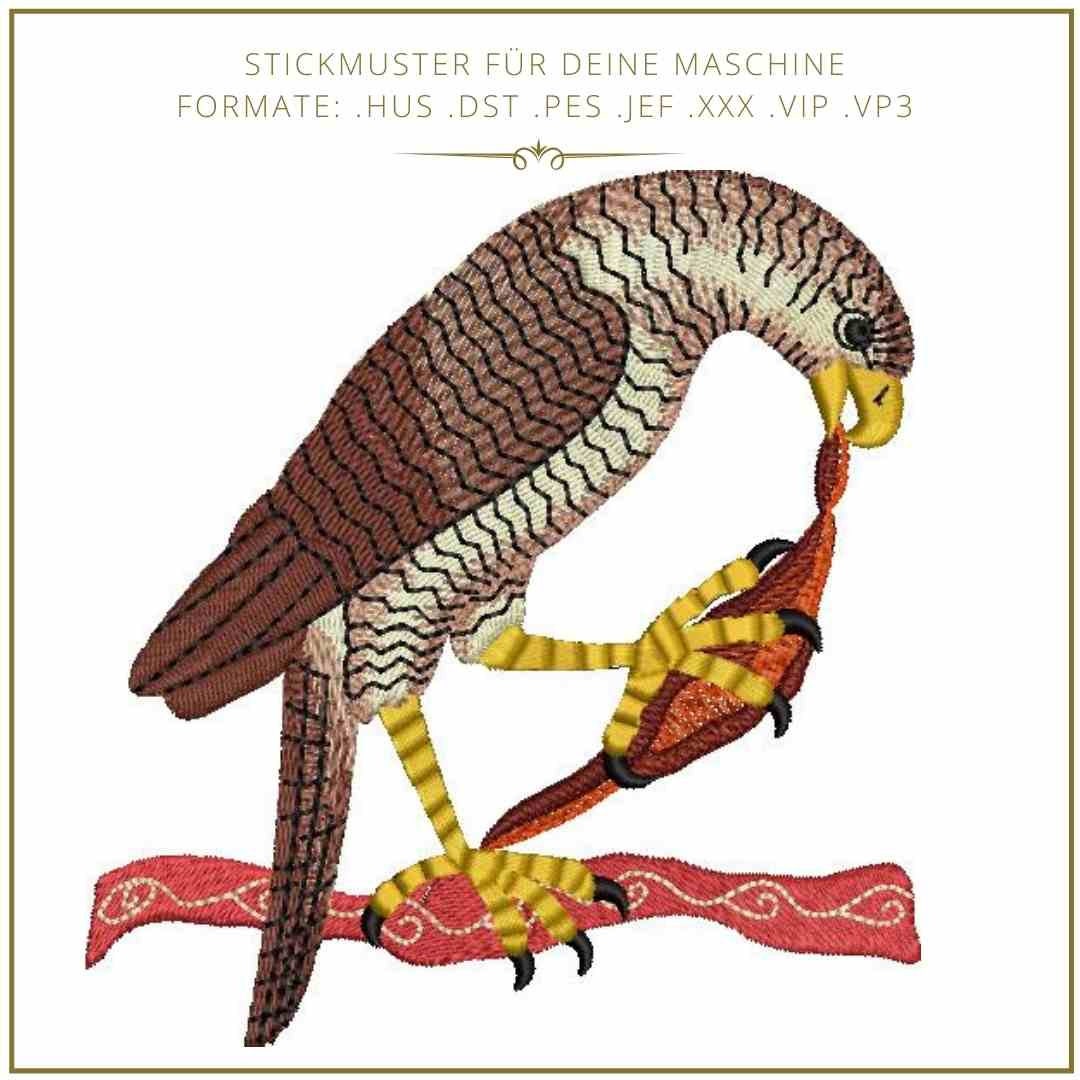 Buzzard Embroidery Pattern - Etsy