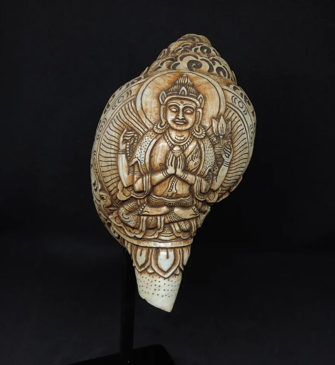 Tibetan Chengreshi Ritual Conch Shell Shankha Blow Buddhist Monk ...