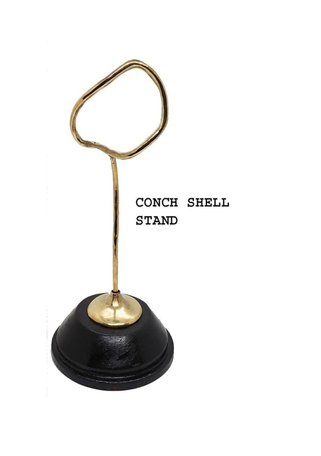 1 Pcs of Conch Shell Display Stand Conch Shell Brass Stand Wooden Base ...