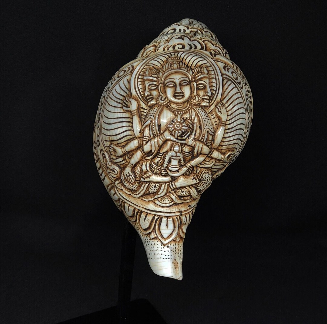 Hand Carved Basundhara Ritual Conch Shell Blowing Purpose Hindu ...