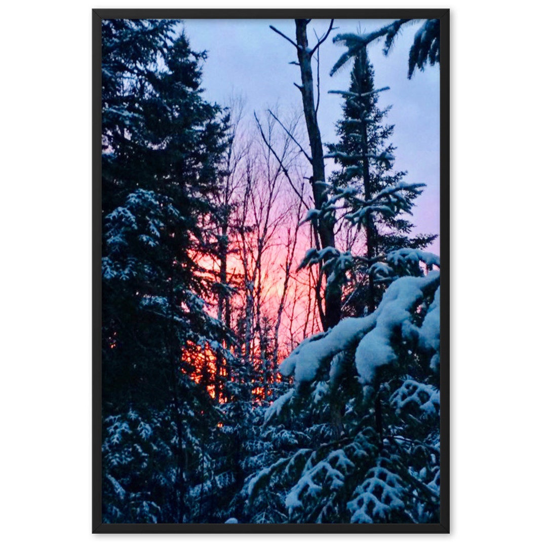 Framed Sunset Forest Poster, Print From Original Photograph by Judy ...