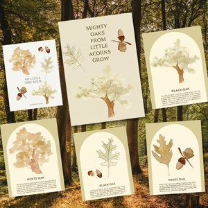Tree Unit Study Bundle - Nature Education Printable - Tree Leaf ...