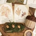 Tree Unit Study Bundle - Nature Education Printable - Tree Leaf ...
