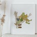 Frog and Toad Poster Classroom Decor Book Characters - Etsy
