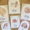 Letter Tracing Worksheets - Nature Alphabet Illustrations - Preschool ...
