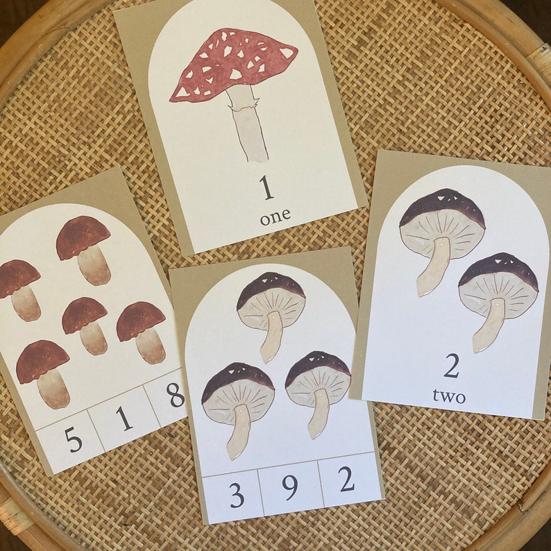 Mushroom Unit Study Bundle Watercolor Nature Education - Etsy