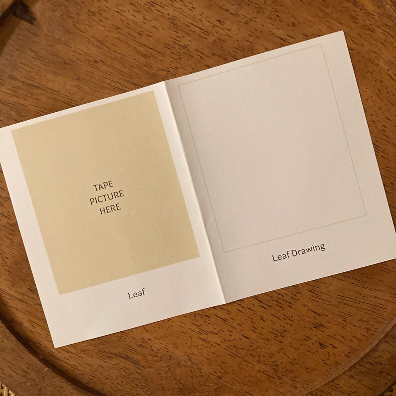 My Little Tree Book I Homeschool Printable for Nature Study I Nature ...