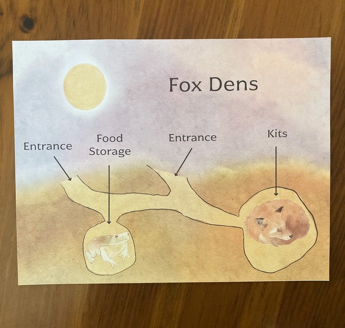 Fox Unit Study Bundle Nature Education Printables Watercolor Animal ...