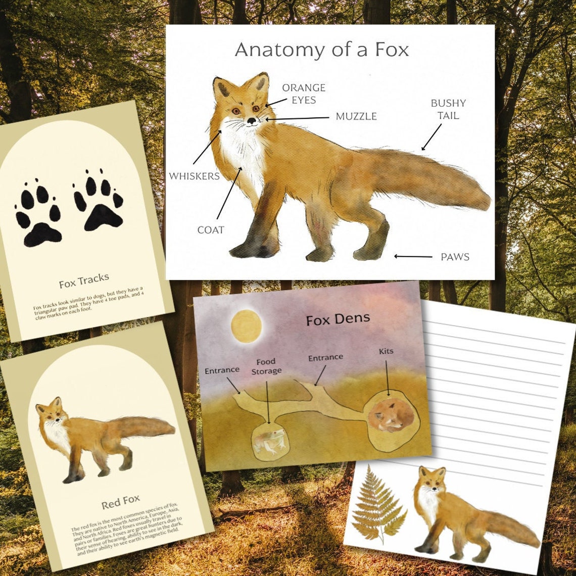 Fox Unit Study Bundle Nature Education Printables Watercolor Animal ...