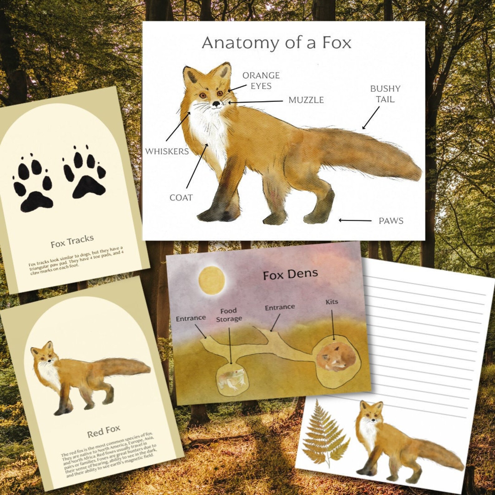 Fox Unit Study Bundle Nature Education Printables Watercolor Animal ...