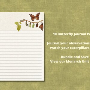 Butterfly Life Cycle Journal Pages - Blank Stationary Printables ...