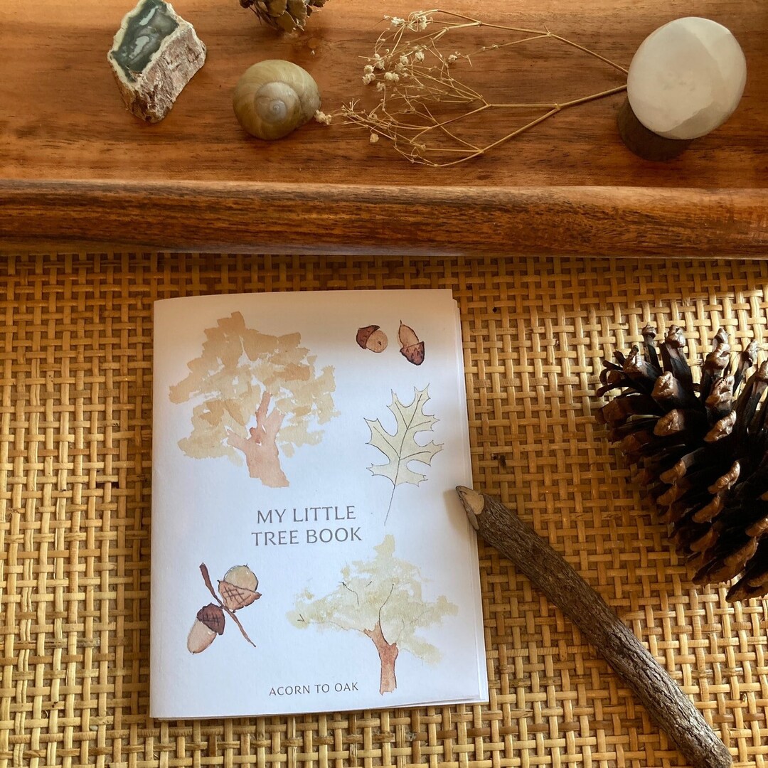 My Little Tree Book I Homeschool Printable for Nature Study I Nature ...
