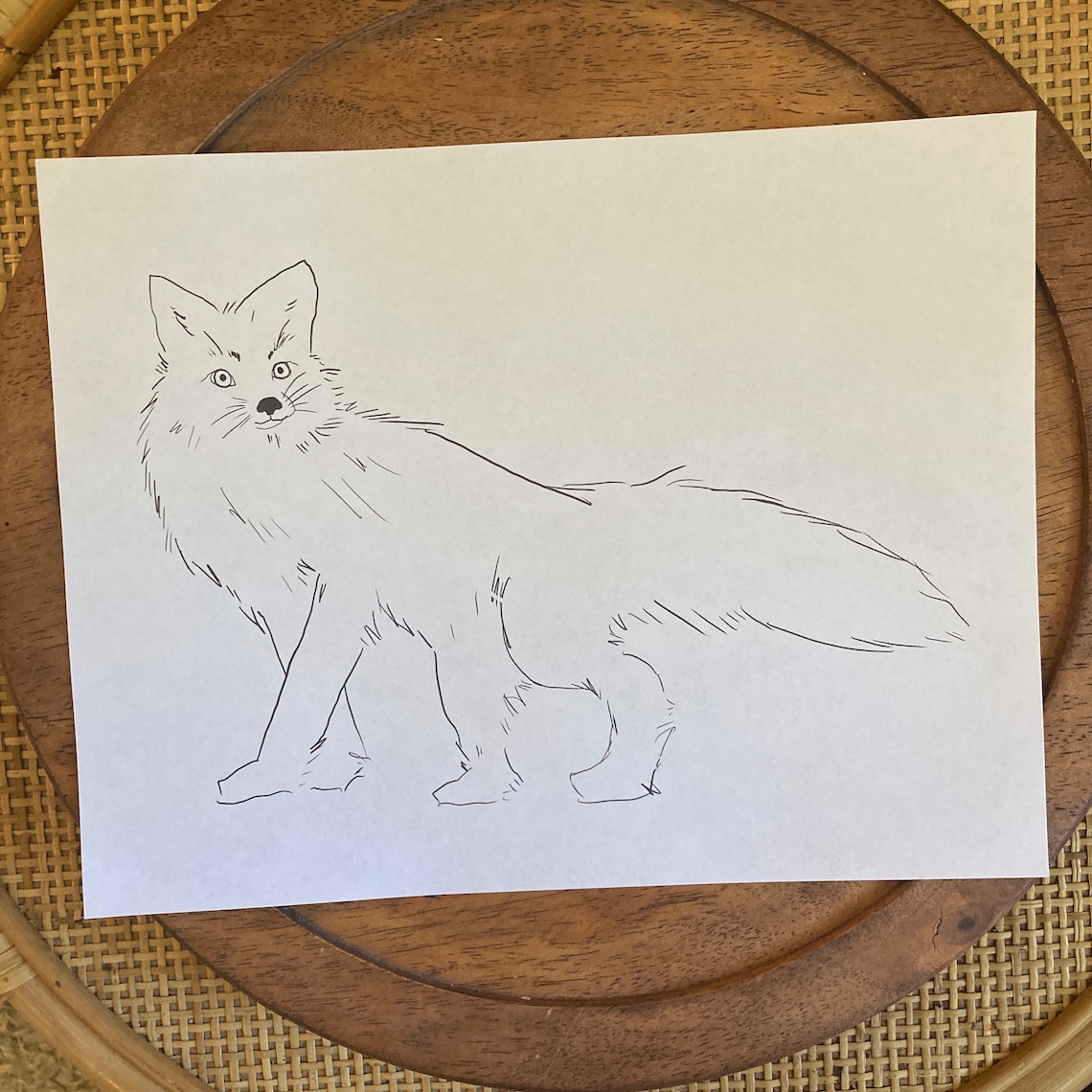 Fox Unit Study Bundle - Nature Education Printables - Watercolor Animal ...