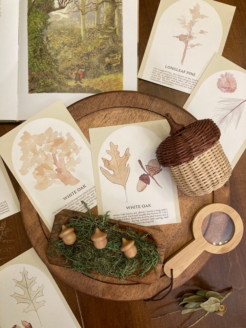 Tree Identification Flash Cards I Tree Study Flash Cards I - Etsy India