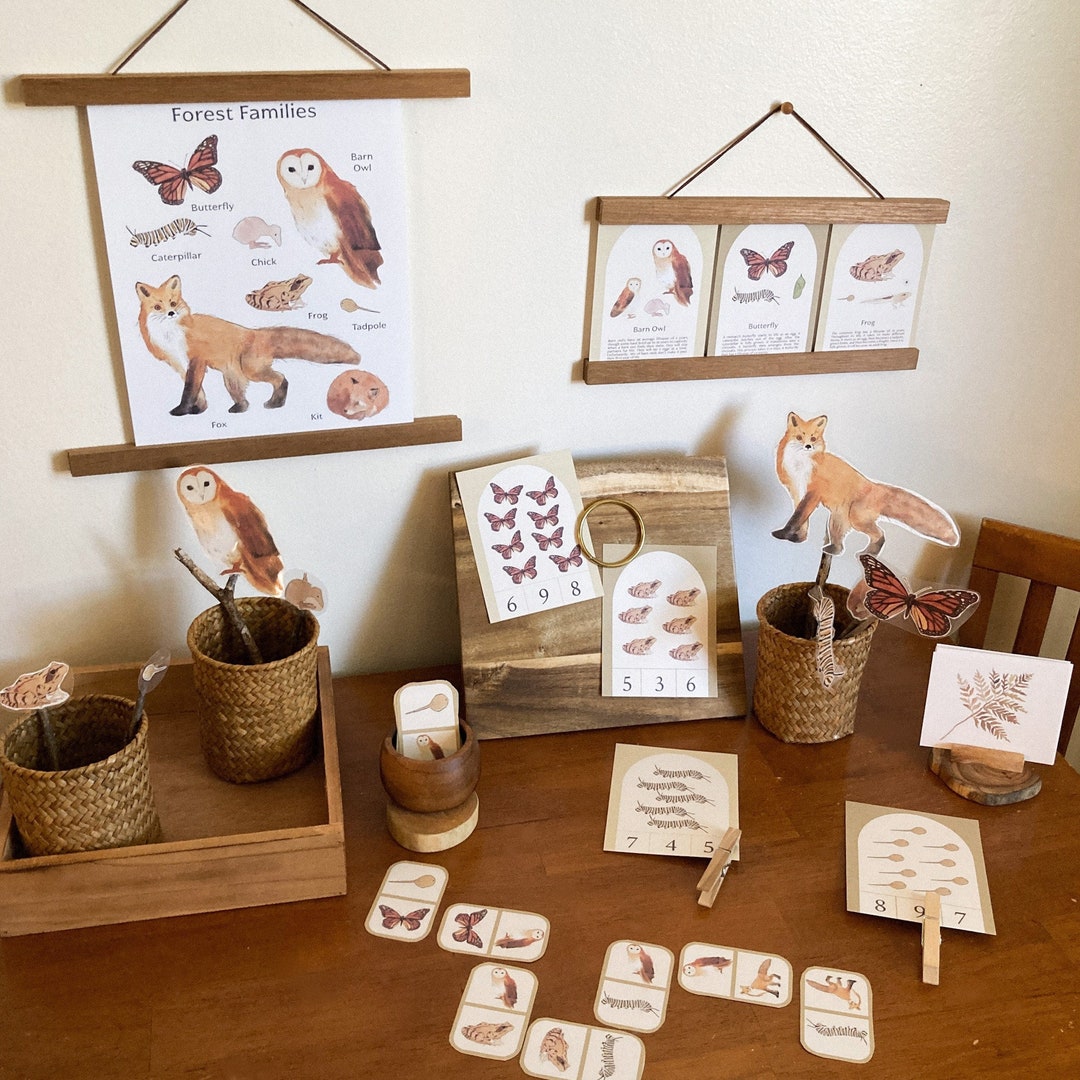 Forest Families Bundle - Spring Nature Based Education Printables ...