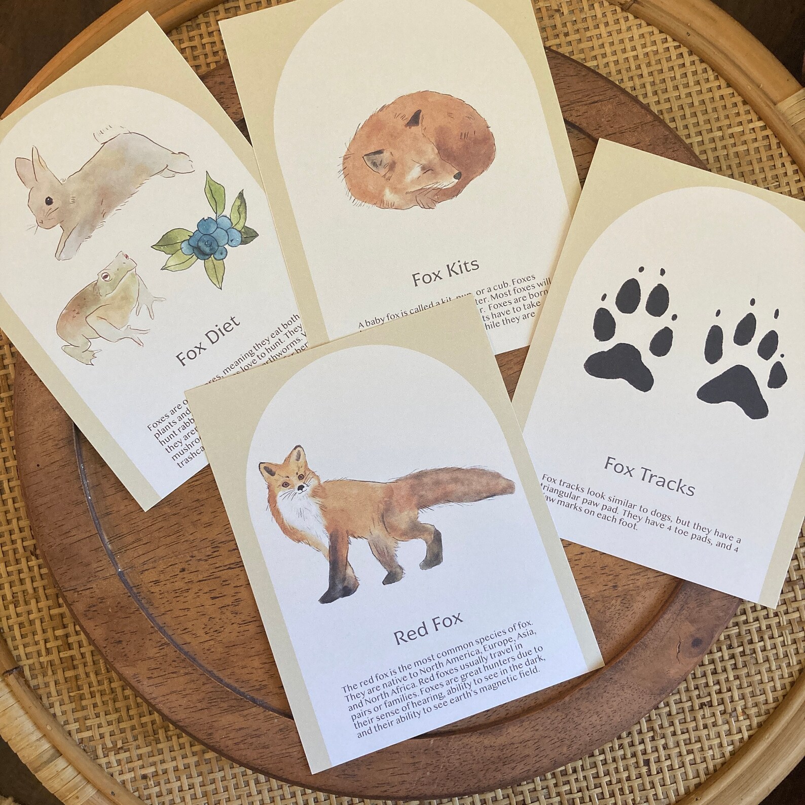Fox Unit Study Bundle Nature Education Printables Watercolor Animal ...