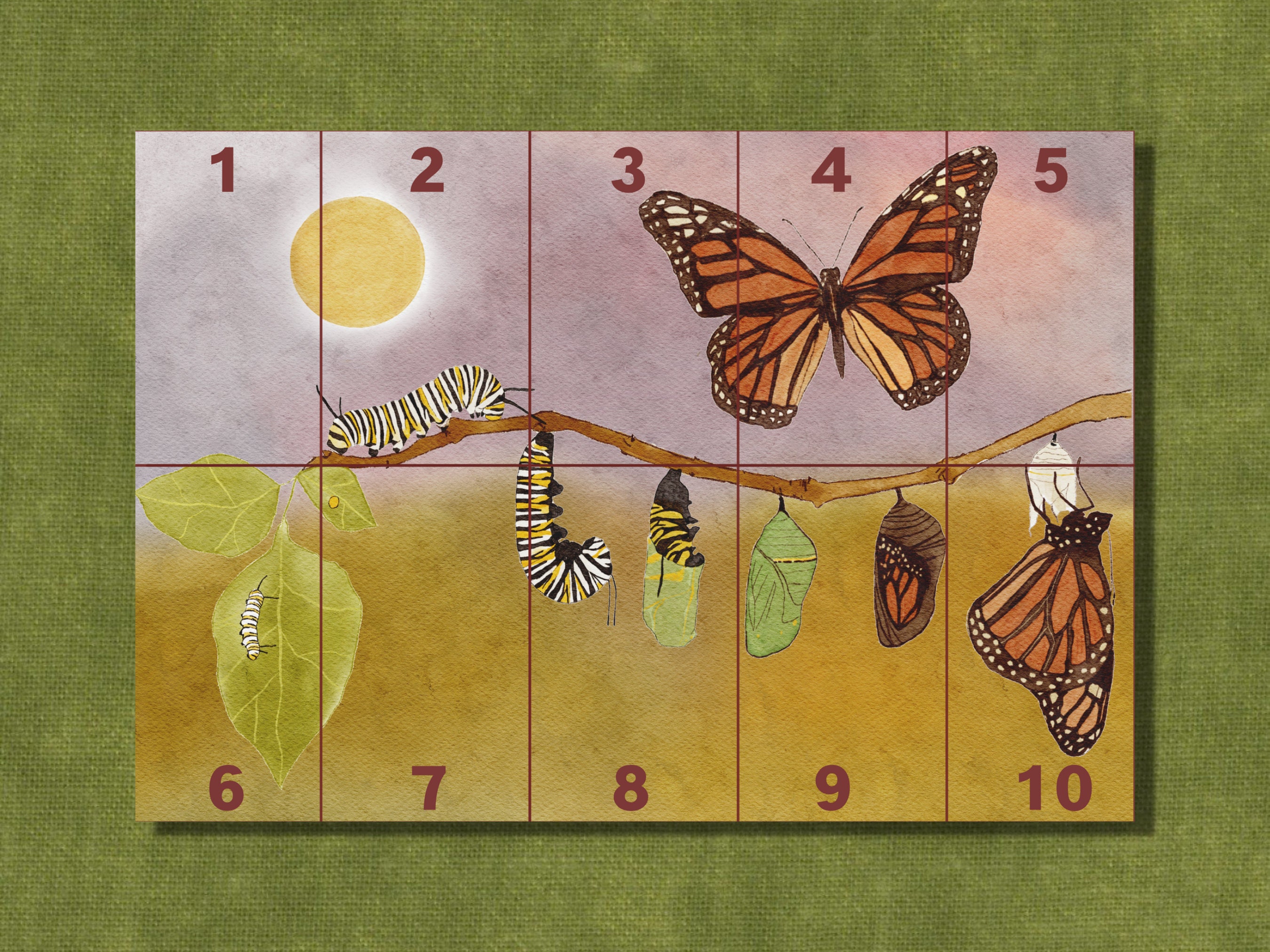 Butterfly Number Matching Activity - Nature Preschool Printables ...
