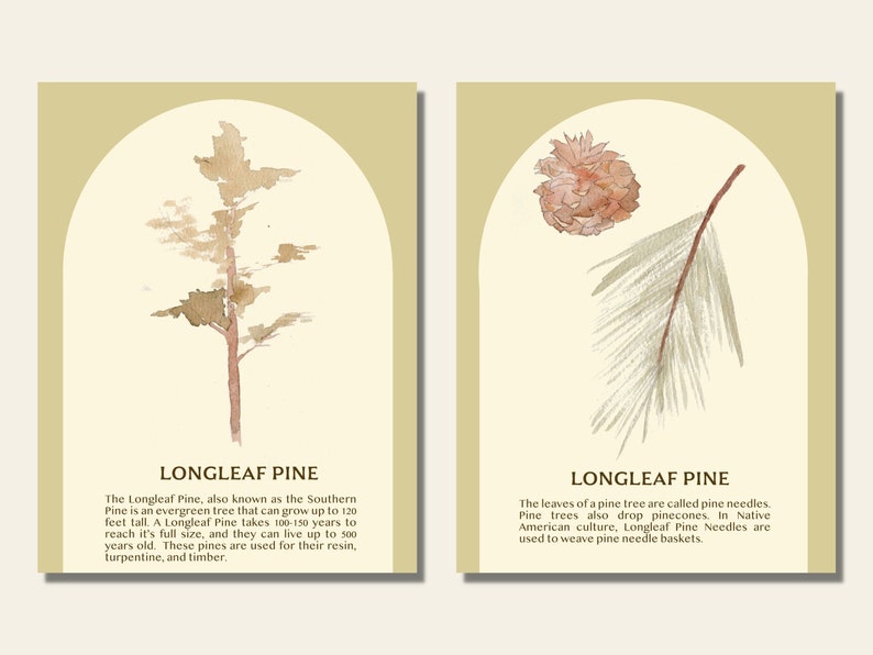 Tree Identification Flash Cards I Tree Study Flash Cards I - Etsy