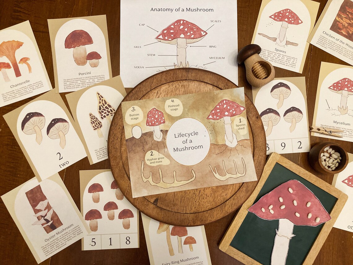 Mushroom Unit Study Bundle Watercolor Nature Education - Etsy
