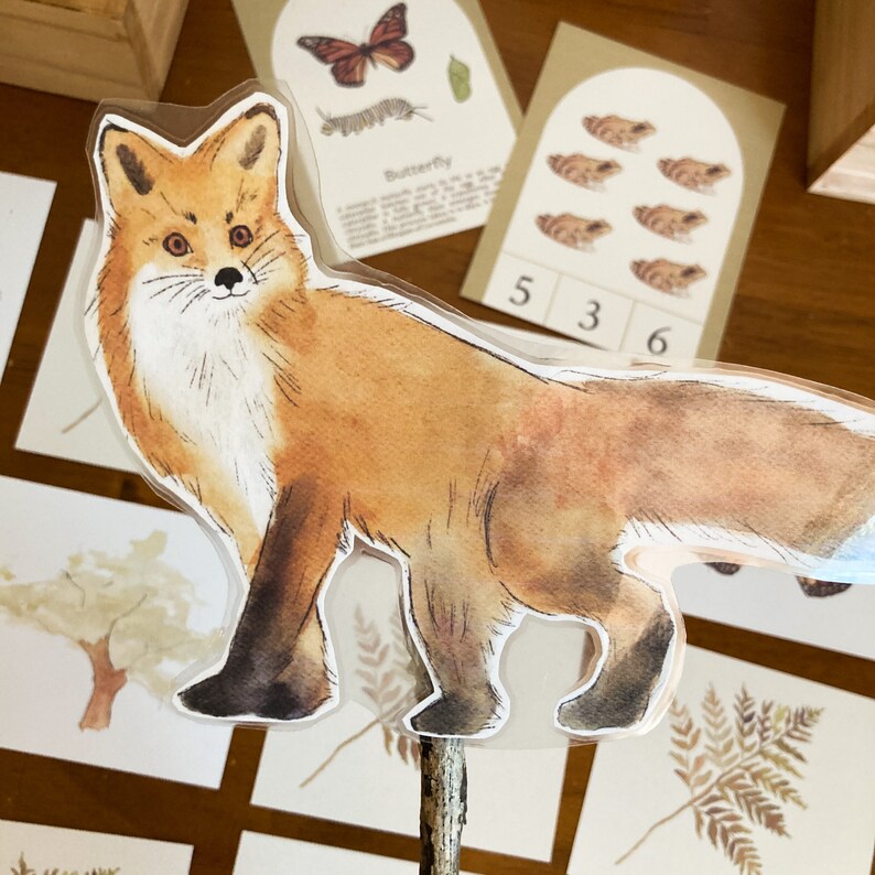 Forest Families Bundle - Spring Nature Based Education Printables ...