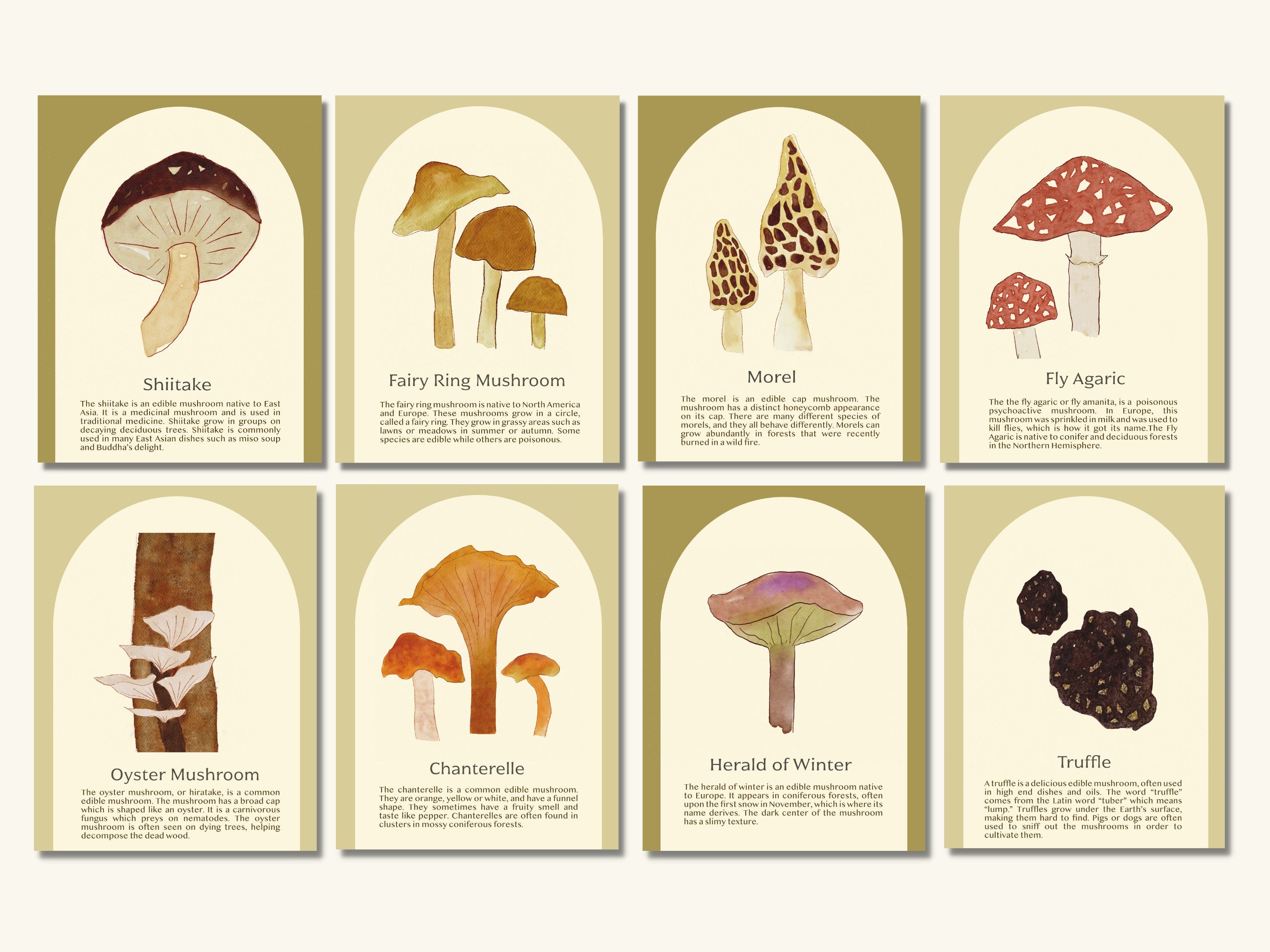 Mushroom Identification Flash Cards - Watercolor Mushroom Species ...