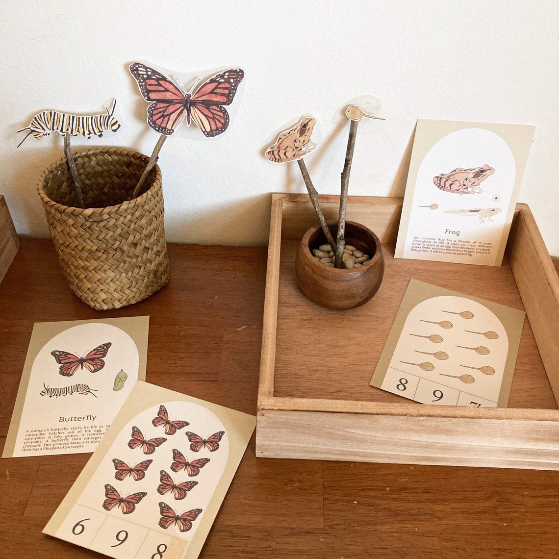 Forest Families Bundle - Spring Nature Based Education Printables ...