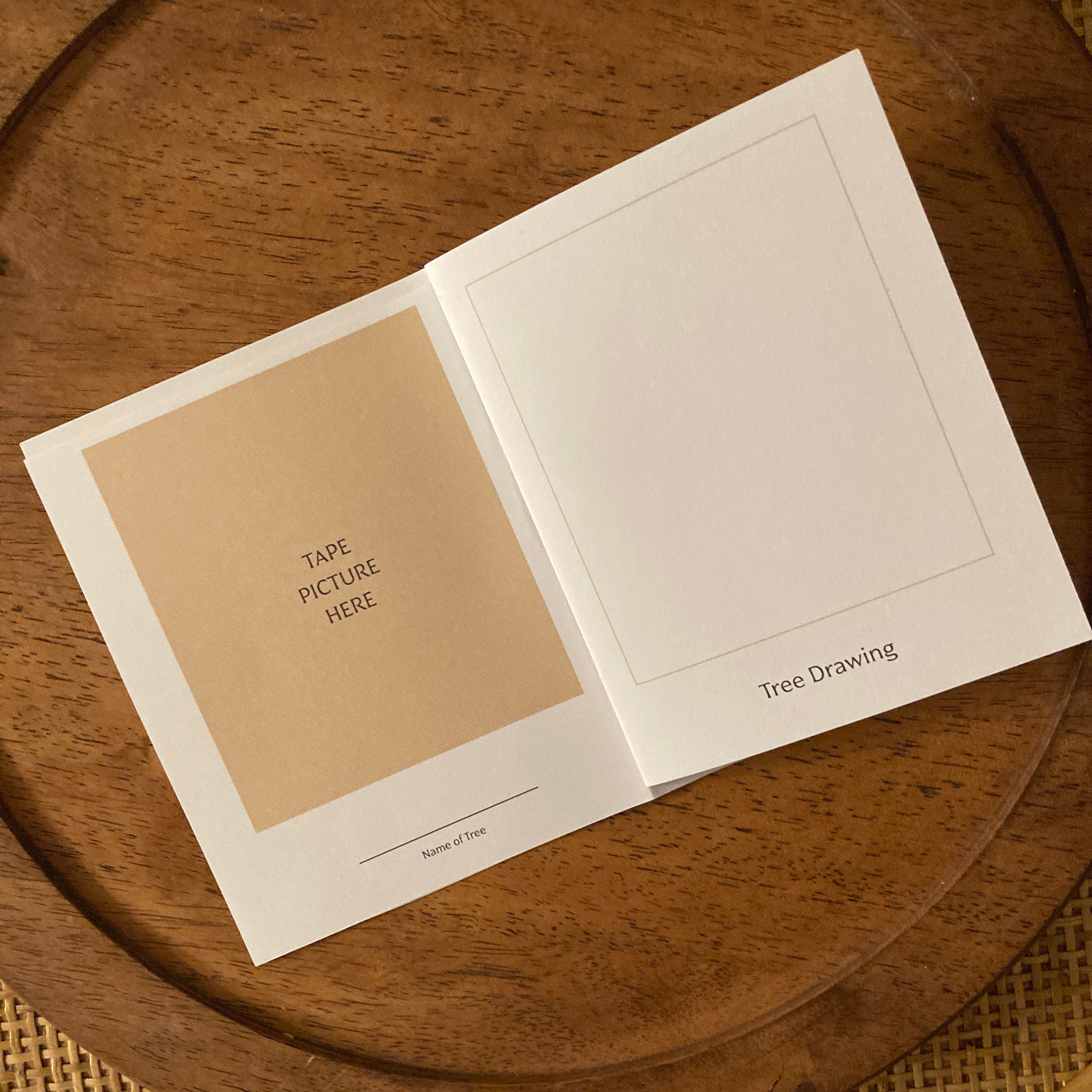 My Little Tree Book I Homeschool Printable for Nature Study I Nature ...